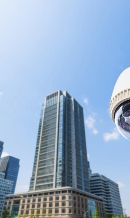 Company Electronic security ltd. | Ess