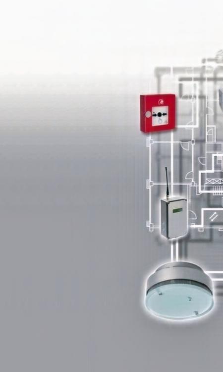 Company Electronic security ltd. | Ess